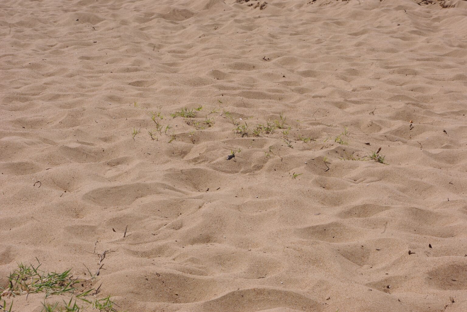 Windows 11 PC：Sandbox (disposable virtual machine) usage procedure ...